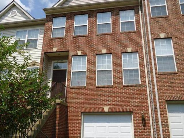 21477 Rusty Blackhaw Square