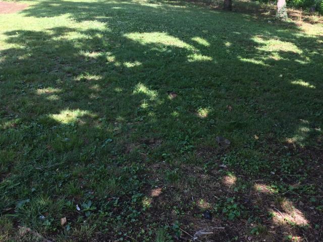 2147 18th Ave N, Nashville, TN 37208 | MLS #2781