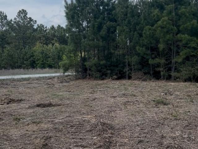 2147 8 Tract 36, Lovelady, TX 75851 | MLS #75283