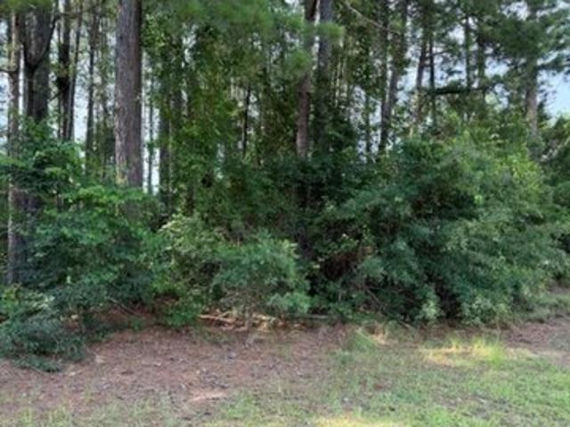 2140 Water Song Run, Sumter, SC 29150