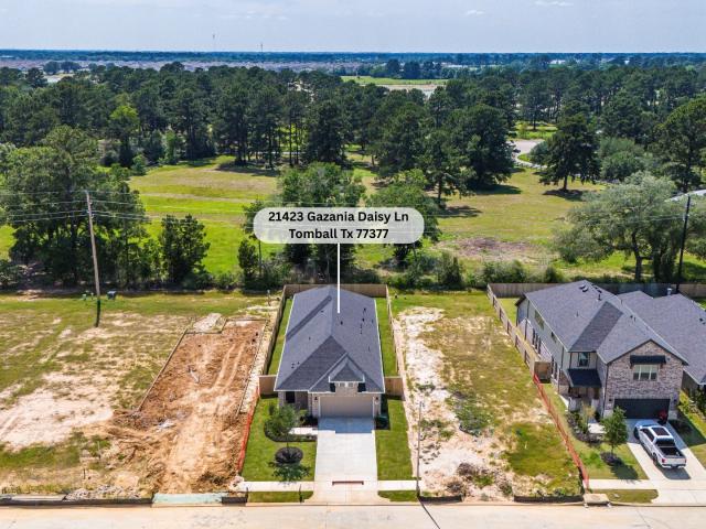 21423 Gazania Daisy Lane