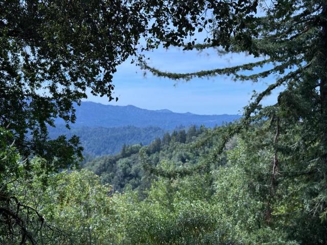 21420 Bear Creek Road