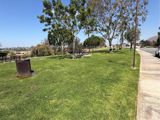 21426 Blossom Hill