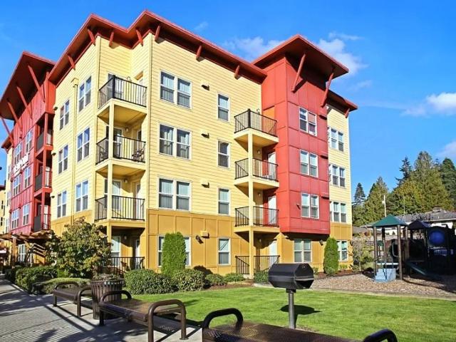 21428 International Boulevard Studio Apartment for Rent at 21428 International Blvd, Seatac, WA 98198