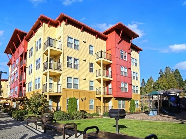 21428 International Boulevard Studio Apartment for Rent at 21428 International Blvd, Seatac, WA 98198