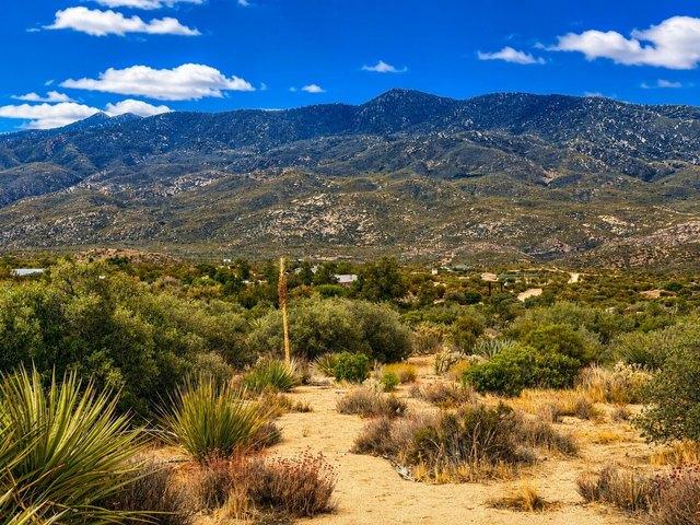 214 Chalet Dr, Mountain Center, CA 92561