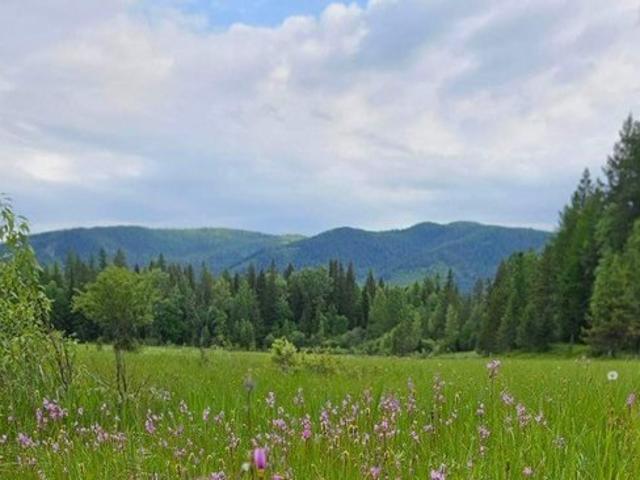 214 Aspen Ln, Columbia Falls, MT 59912