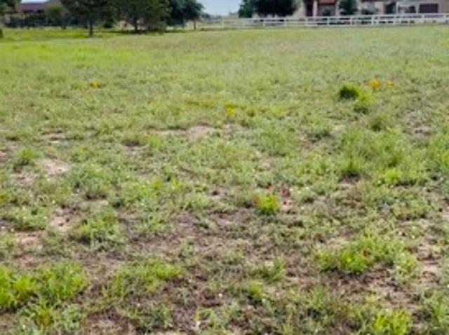 214 Bluebonnet Rdg