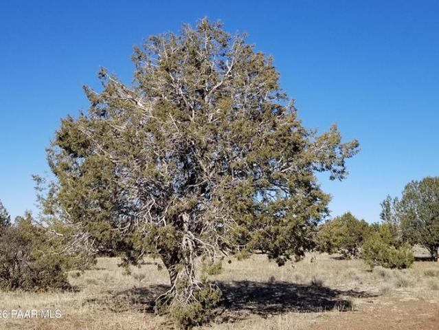 214 NE Qtr W Rut, Ash Fork, AZ 86320