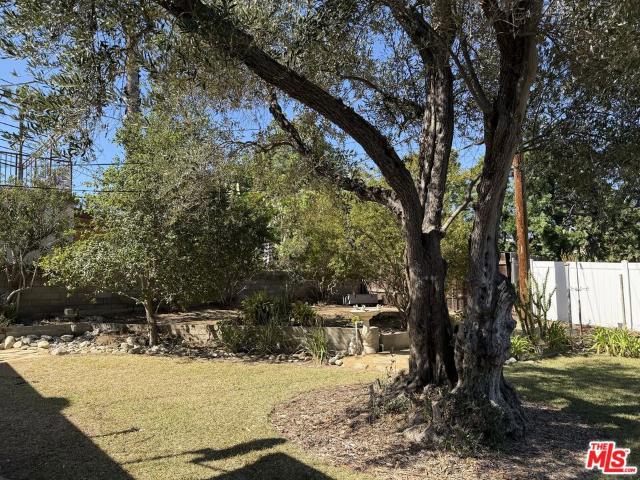 214 Sequoia Drive
