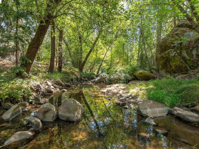 21551 Phoenix Lake Rd