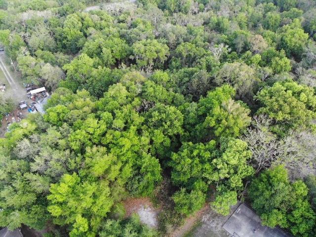 2156 Old Hickory Tree Rd, St. Cloud, FL 34772 | MLS #S5146