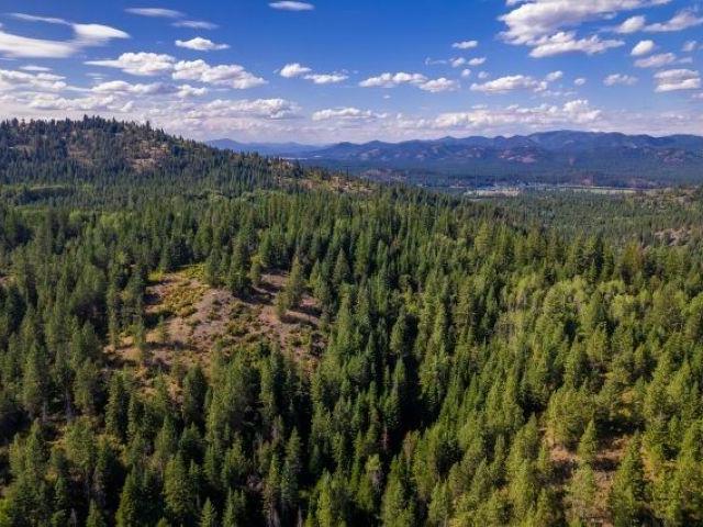 2157 McCloud Creek Rd, Newport, WA 99156 | MLS #202615 | Compass