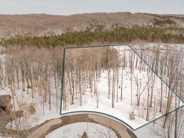 2157 N Black Rock Way, Harbor Springs, MI 49740