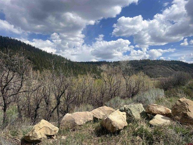 21501 Highway 145, Dolores, CO 81323