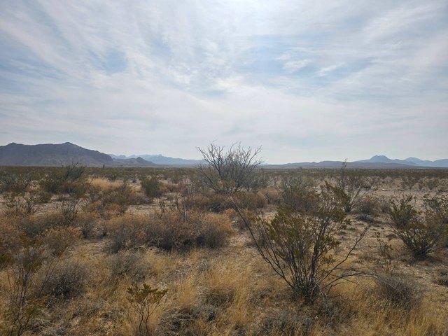 21508 Caliche Rd, Terlingua, TX 79852