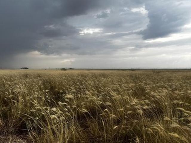 21511 Private Road 1970, Lubbock, TX 79424