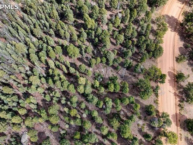 2151 N Mountain Estates Rd, Florissant, CO 80816 | Compass