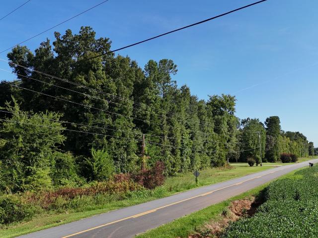 2152 Dr George Ward Road