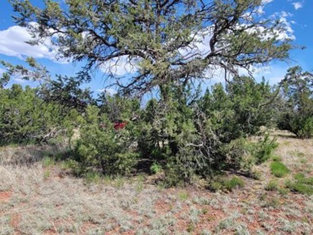 2152 S Hollyhock Ln, Williams, AZ 86046