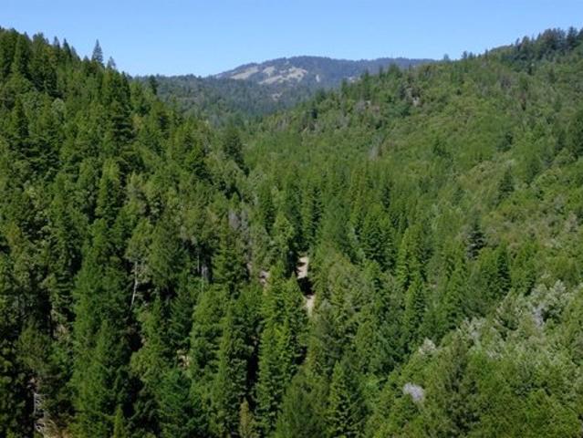 21530 Fort Ross Rd, Cazadero, CA 95421