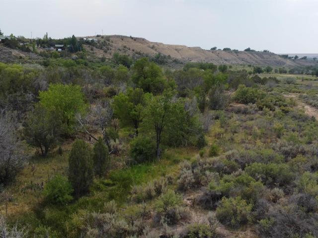 21538 Hamilton Rd, Eckert, CO 81418 | MLS #826587