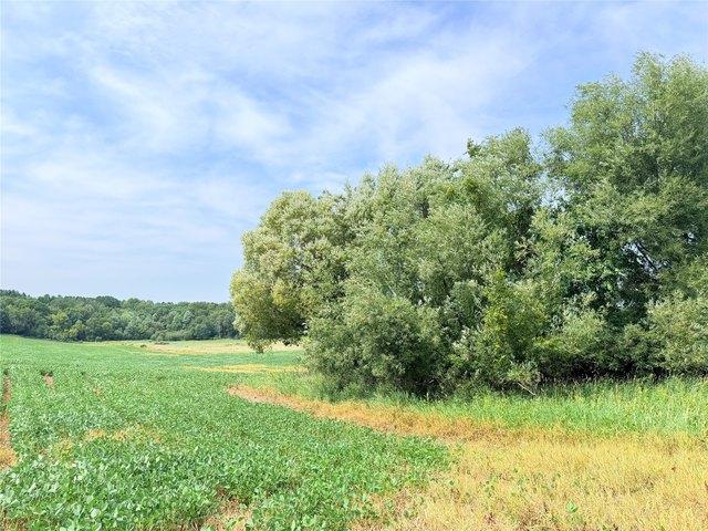 215th St, Saint Croix Falls, WI 54024
