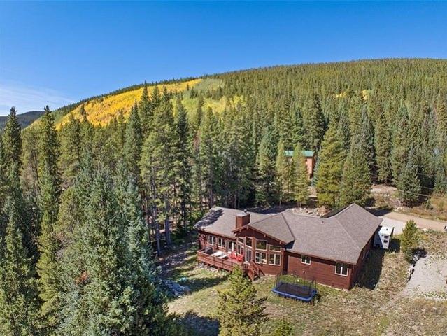 215 97 Cir, Blue River, CO 80424