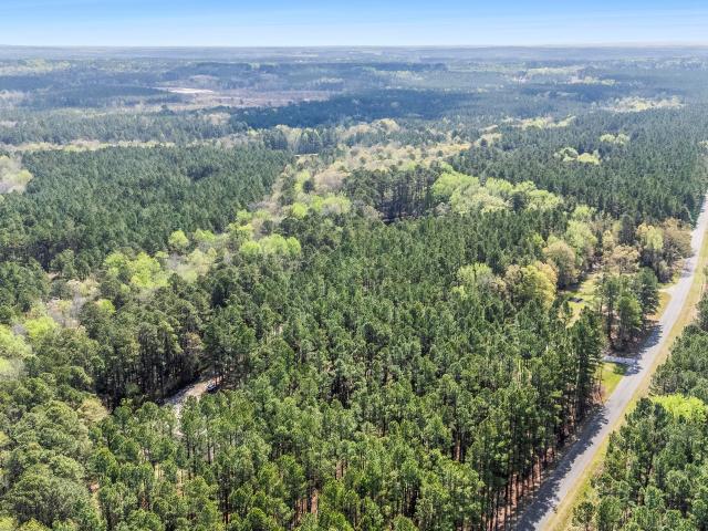 215 Cameron Camp Road