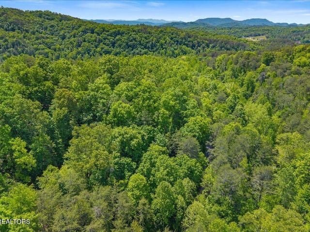 215 Citico Rd. Lot 1 Rd