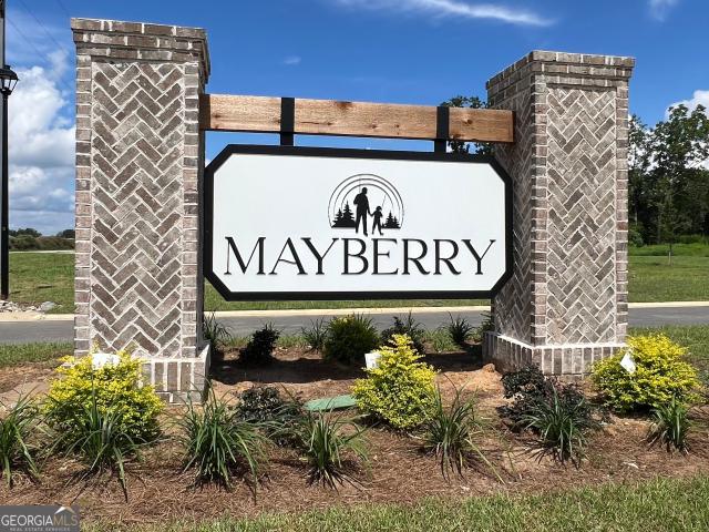 215 Aunt Bee Boulevard LOT 184