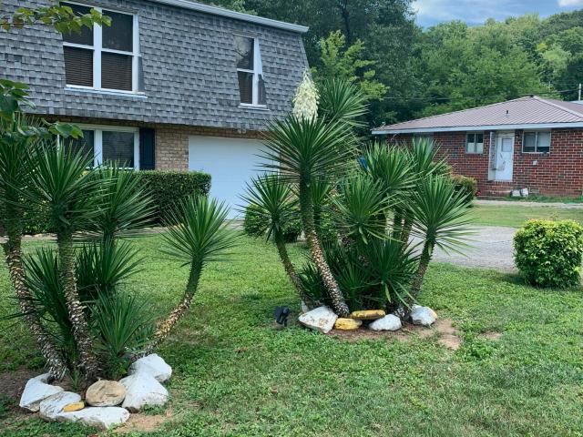 215 Baxter St, Chattanooga, TN 37415 | MLS #1533 | Compass