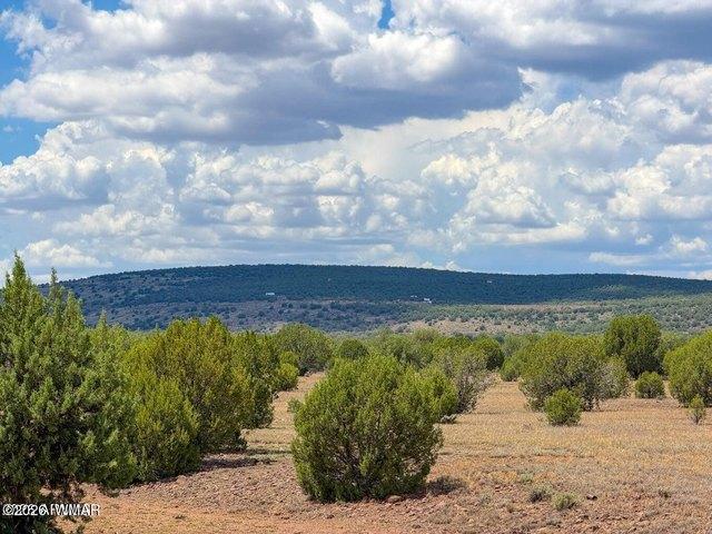 215 Gleed Station 10 Acre Rd Lot B, Ash Fork, AZ 86320