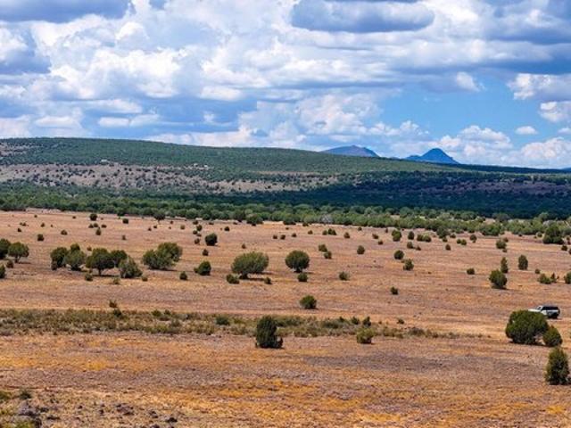 215 Gleed Station 10 Acre Rd Lot C, Ash Fork, AZ 86320