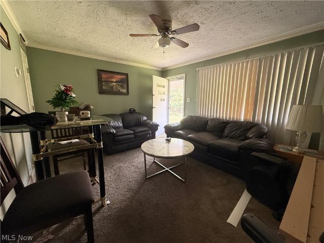 215 Dalepark Drive 1