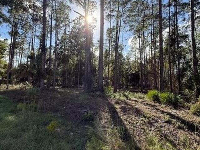 215 Hideaway Ln, Georgetown, FL 32139