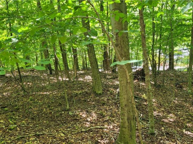 215 Overbrook Trail