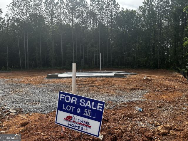 215 Laney Dr, Lot 55, Carrollton, GA 30117 | MLS #10727 | Compass
