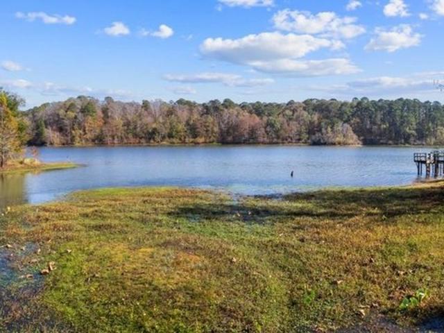 215 Marshall Ln, Hemphill, TX 75948