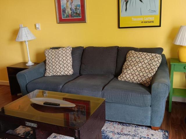 215 S Water Street # Apt 202