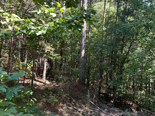 215 Rock Creek Drive