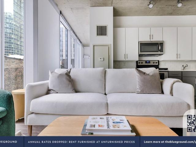 215 West Lake Street 1 Bedroom Apartment for Rent at 215 W Lake St #1331, Chicago, IL 60606 Loop
