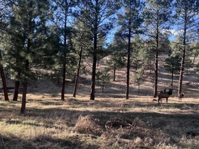 215 White Mountain Meadows Dr Lot 8, Ruidoso, NM 88345