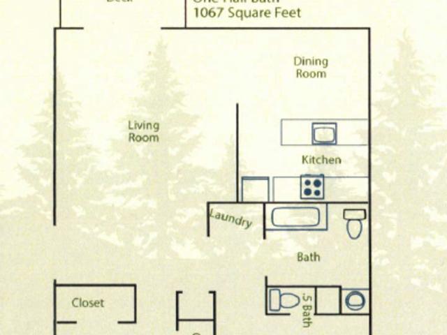 #215 VILLAGE PARK APARTMENTS
