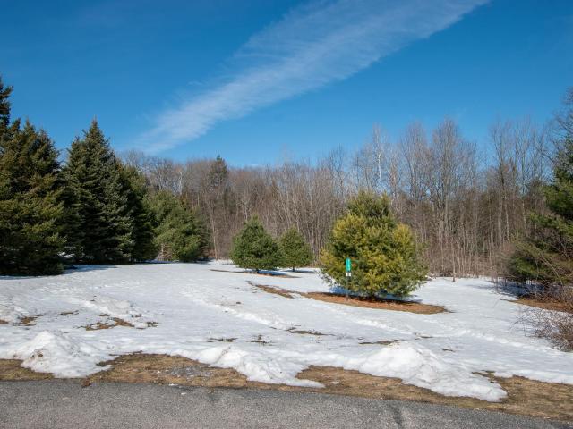 2164 N Belanger Creek Drive # Lot: 8