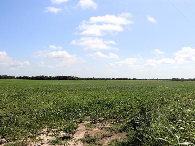 2165 Klondike Tx 75440, Klondike, TX 75448 | MLS #21002