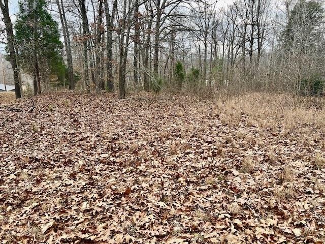 2165 Leroy Rd, Hanson, KY 42413