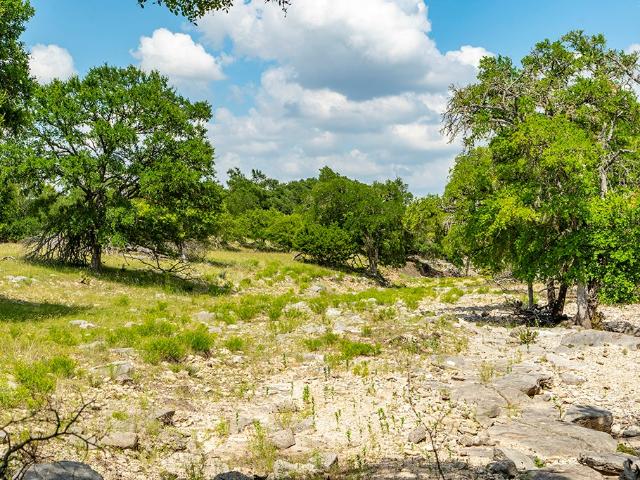 21688 Fm 2093, Unit 7, Harper, TX 78631 | MLS #100508