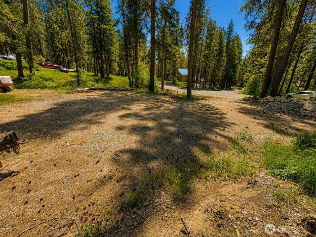 21606 Camp 12 Road