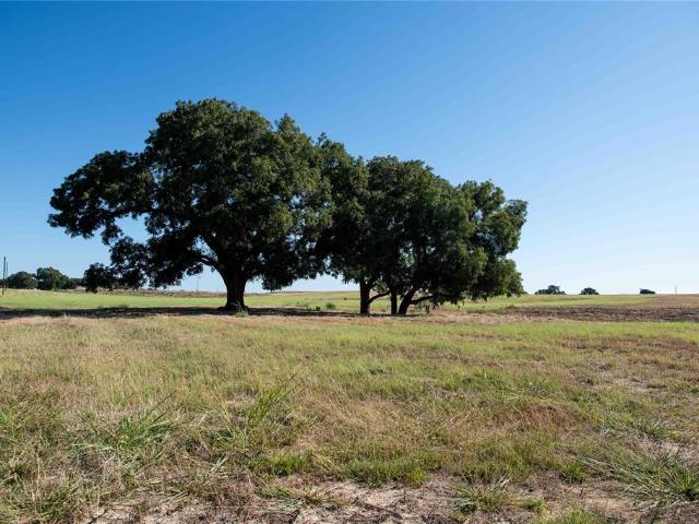 2160 County Road 4371, Decatur, TX 76234 | MLS #21206